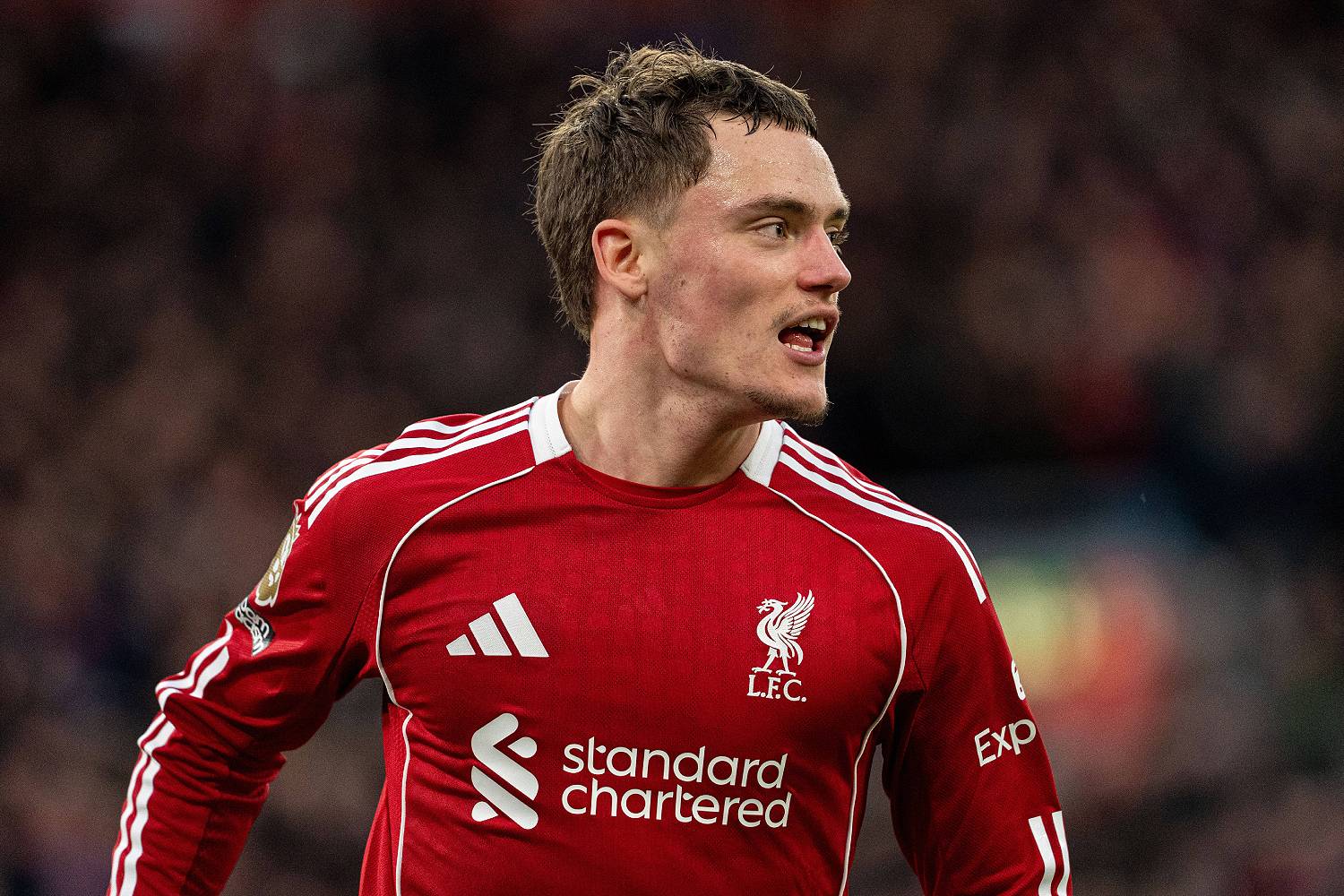 National player begged Wirtz: Please, don't go to Bayern! - FCBinside ...